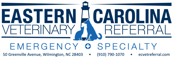 Raise the Ruff 2025 – Paws Place Dog Rescue